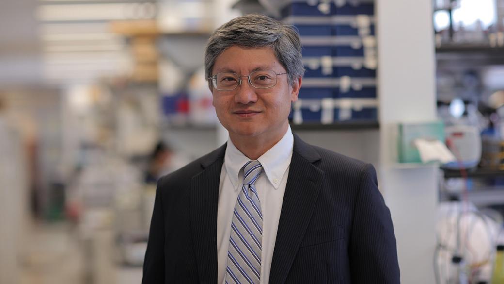 Q+A: Michael Shen, PhD, and the Evolution of Prostate Cancer Research ... Q+A: Michael Shen, PhD, and the Evolution of Prostate Cancer Research ...