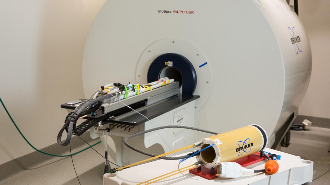 Cancer Shared Resources | Herbert Irving Comprehensive Cancer Center ...