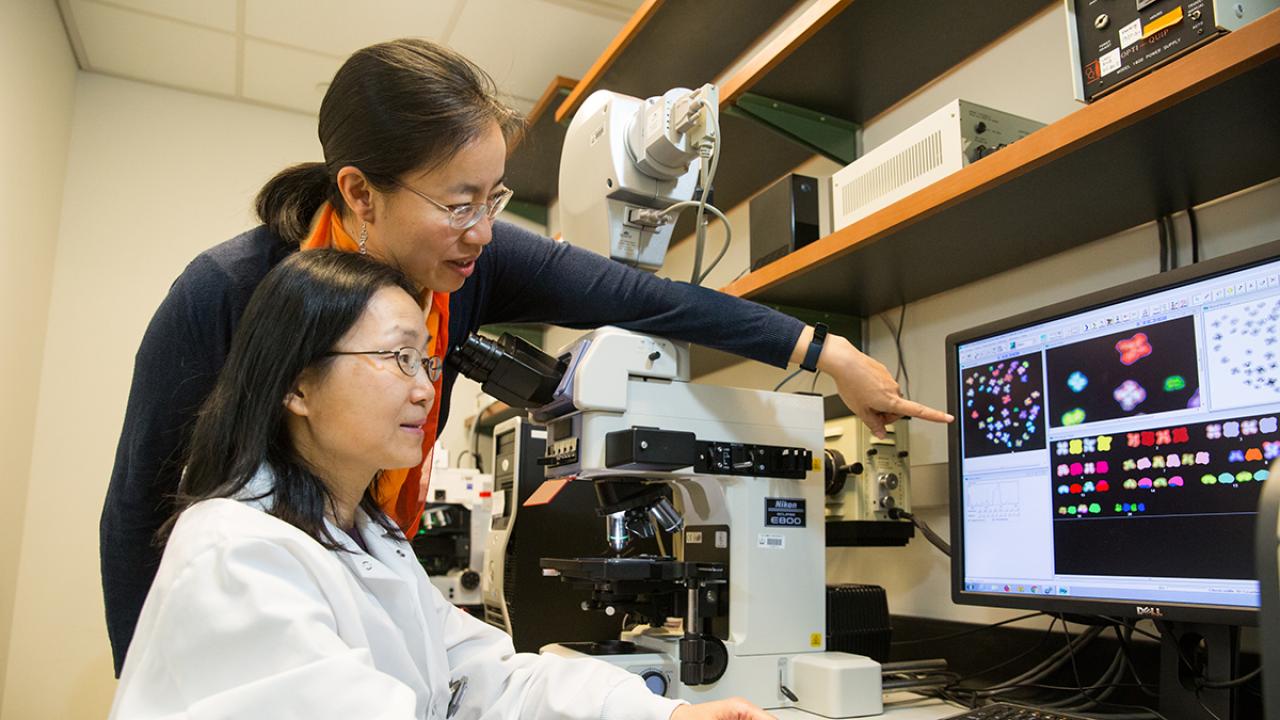 Cancer Shared Resources | Herbert Irving Comprehensive Cancer Center ...