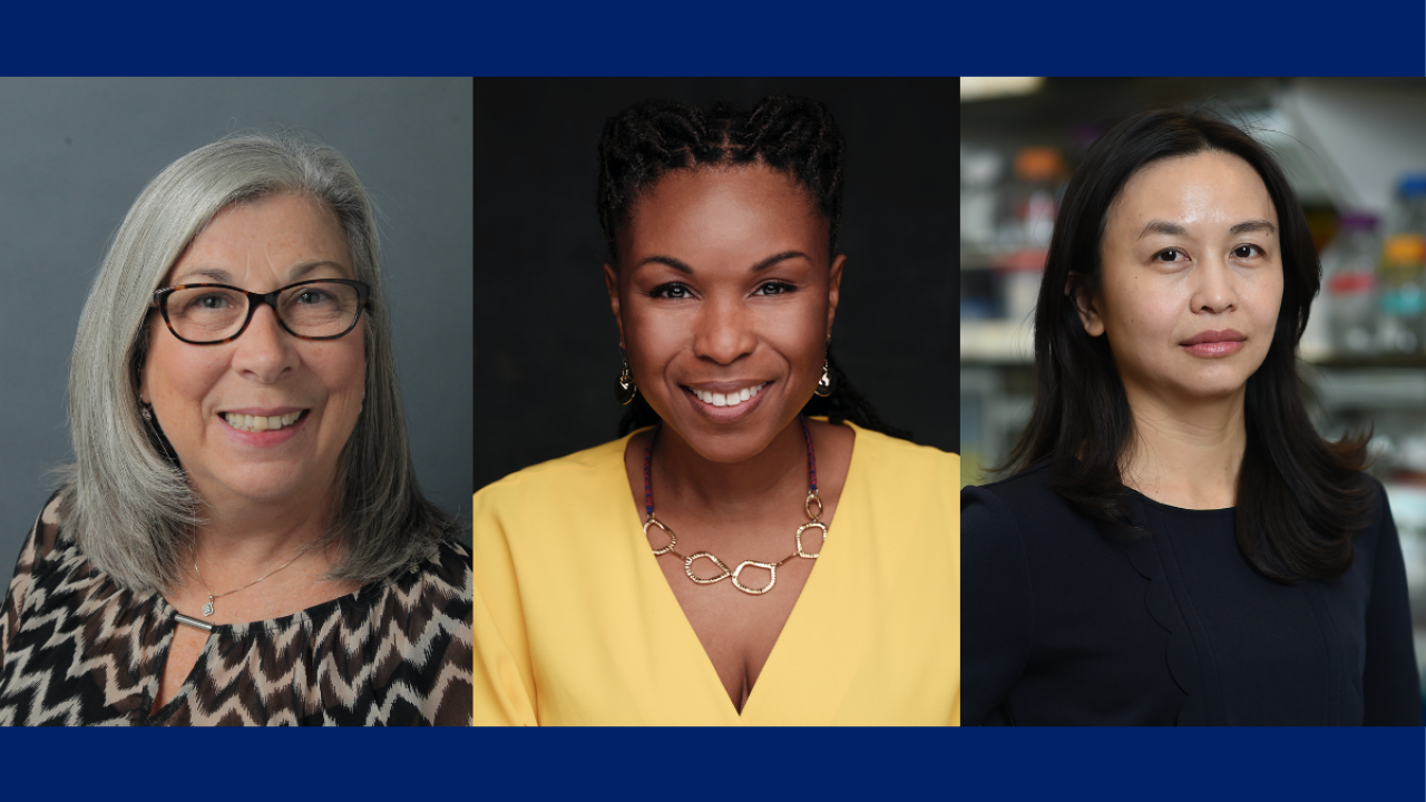 New Pilot Grant Program to Support Cancer Research in Low- and Middle ...