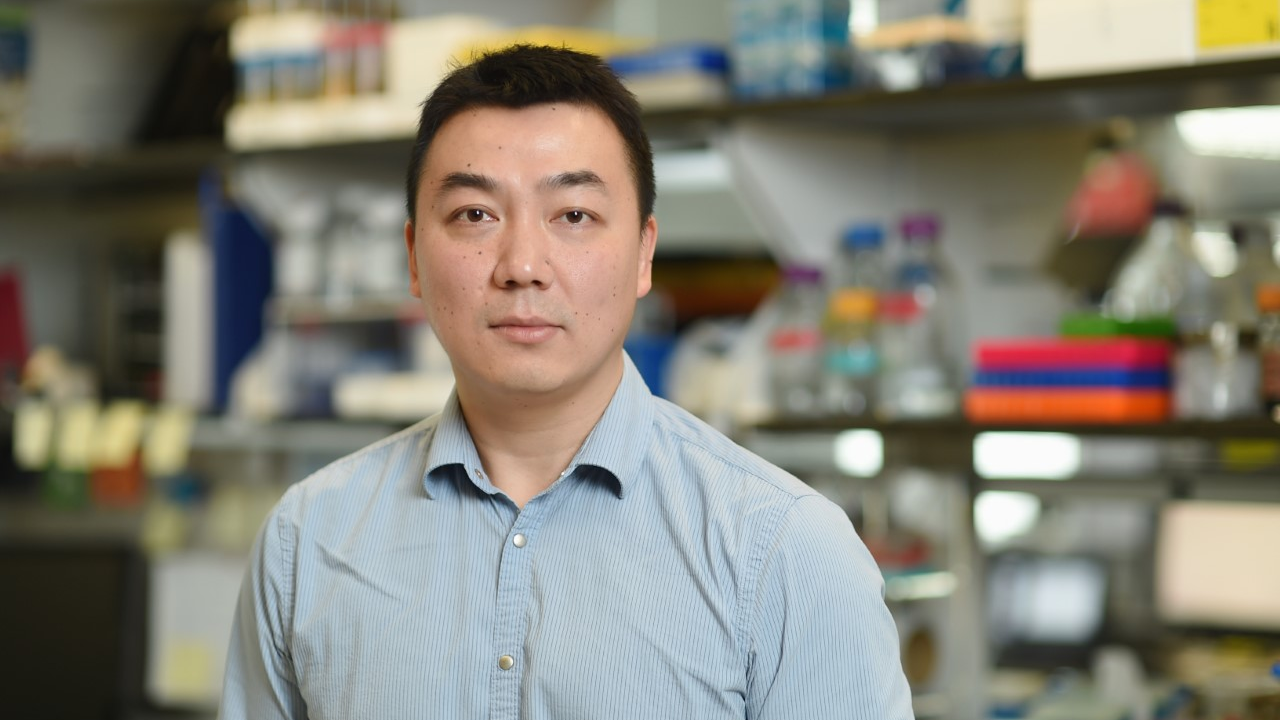 Chao Lu, PhD | Herbert Irving Comprehensive Cancer Center (HICCC) - New ...