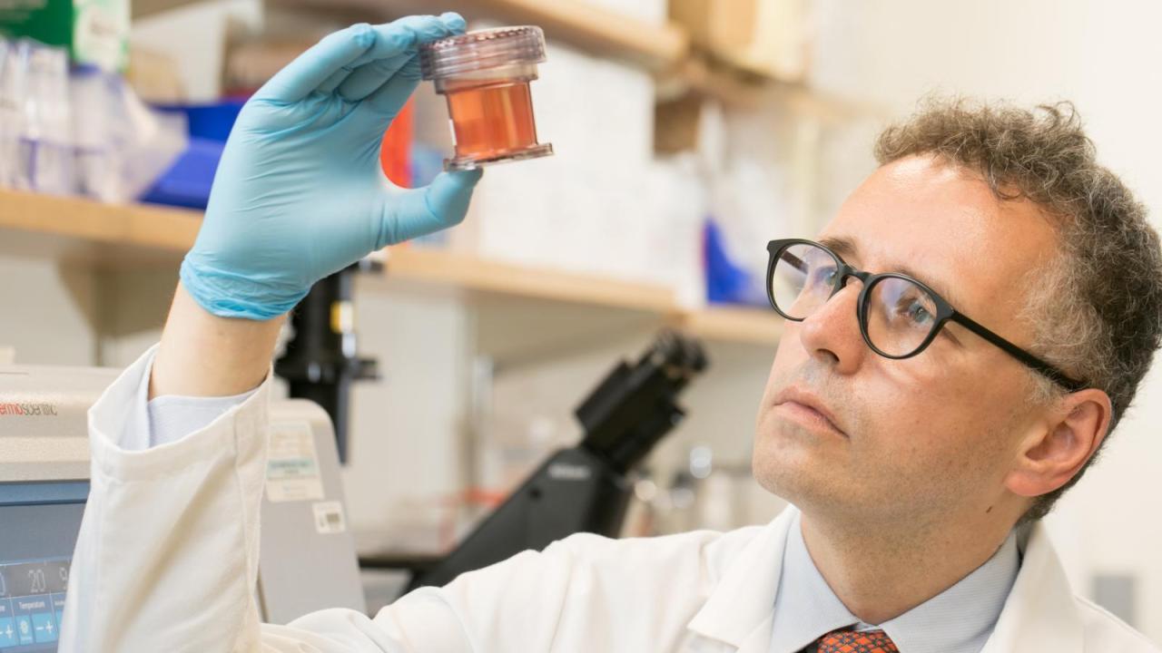 Columbia’s Edward P. Evans Center for Myelodysplastic Syndromes Awards ...