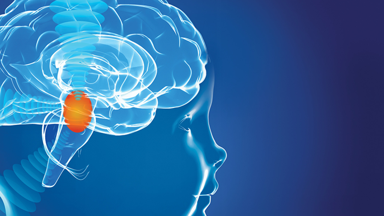 Brain Tumor Research | Herbert Irving Comprehensive Cancer Center ...