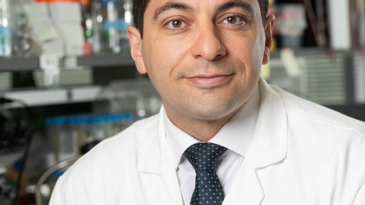 Ben Izar, MD, Joins New Cohort of Cancer Research Institute Lloyd J ...