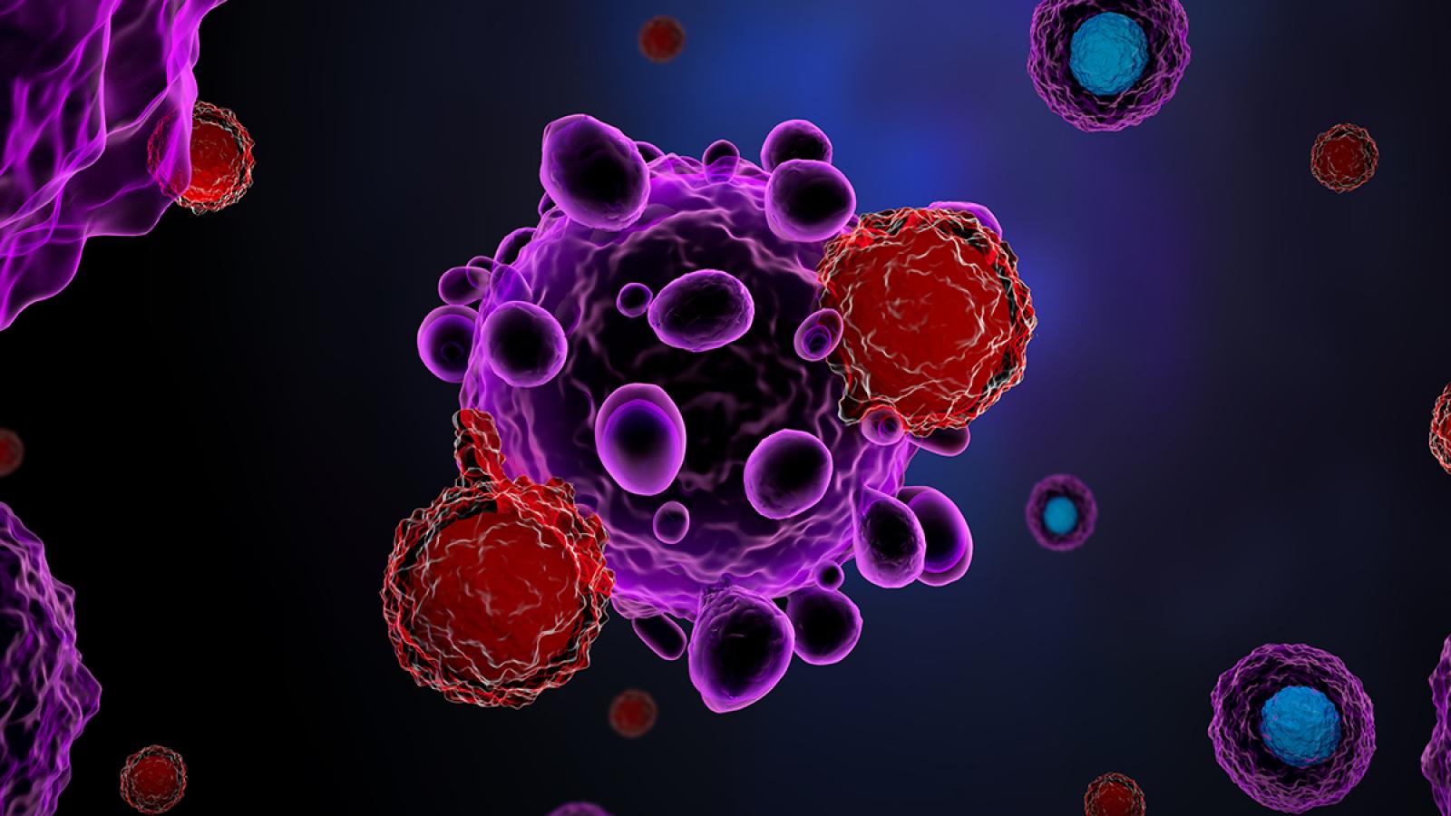 Immunotherapy for Cancer Treatment - NYC | Herbert Irving Comprehensive ...