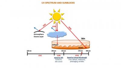 What You Need to Know About Sunscreen and Sun Safety: Fact Check with ...