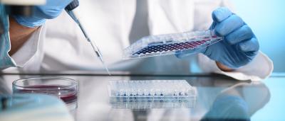 A Phase 1/1b Study of ASP2138 as Monotherapy and in Combination with ...