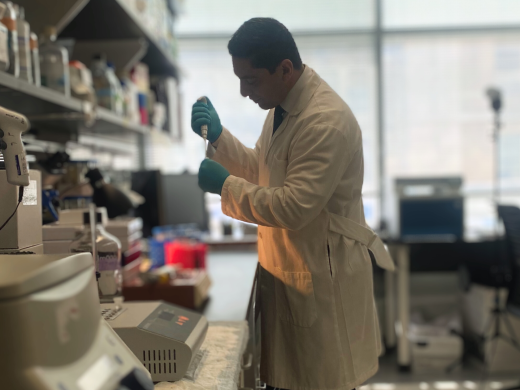 Improving cell therapy by creating T-cell “super soldiers” | Herbert ...