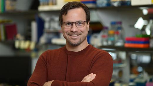 Gift Supports Targeted Therapies for Pancreatic Cancer | Herbert Irving ...