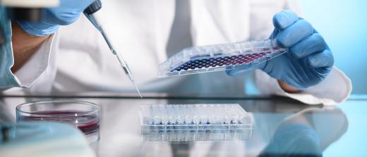 Azra Raza, MD | Herbert Irving Comprehensive Cancer Center (HICCC ...