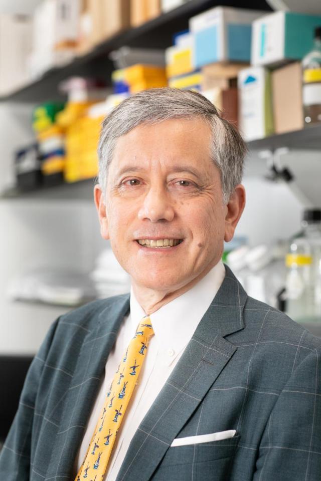 Timothy Cragin Wang, MD | Herbert Irving Comprehensive Cancer Center ...