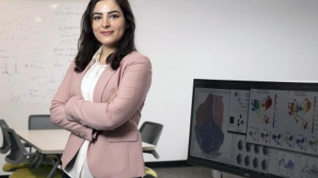 About Leukemia | Herbert Irving Comprehensive Cancer Center (HICCC ...