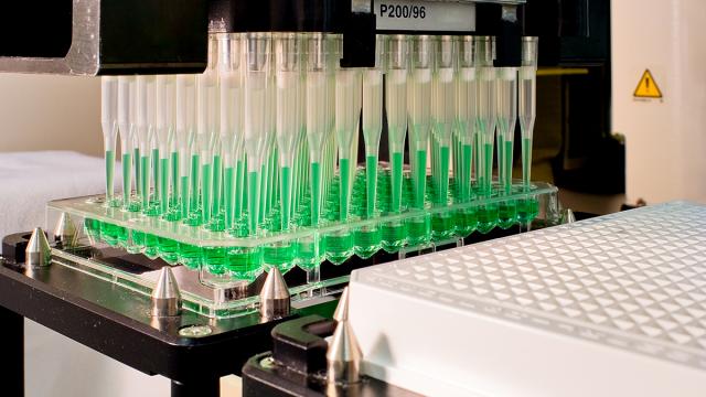 Cancer Shared Resources | Herbert Irving Comprehensive Cancer Center ...