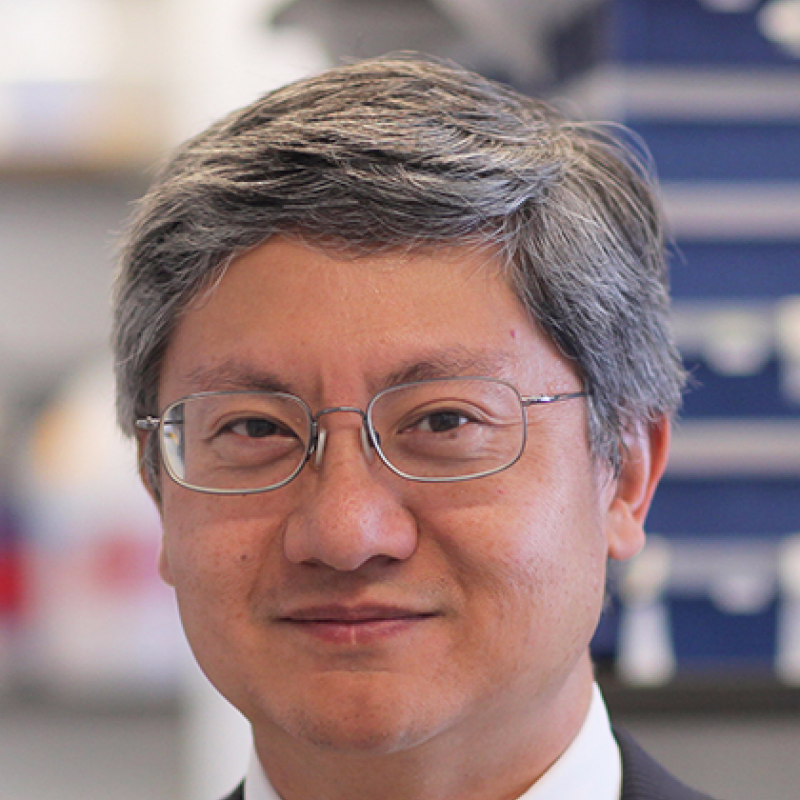 Tumor Biology and Microenvironment | Herbert Irving Comprehensive ...